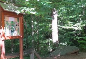 The Cliffs At Glassy Golf Course Community | Golf Course Home